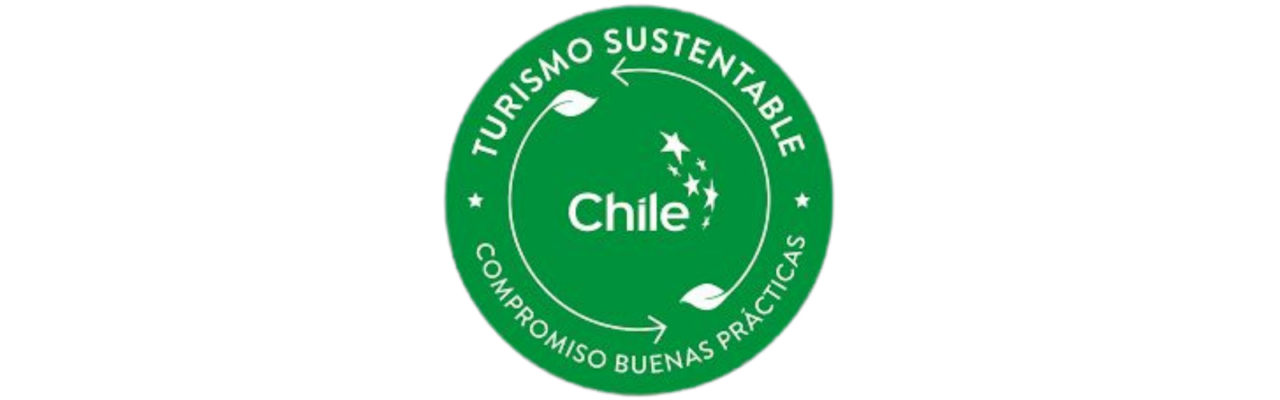 O Mercado Urbano Tobalaba (MUT) - Indo pro Chile